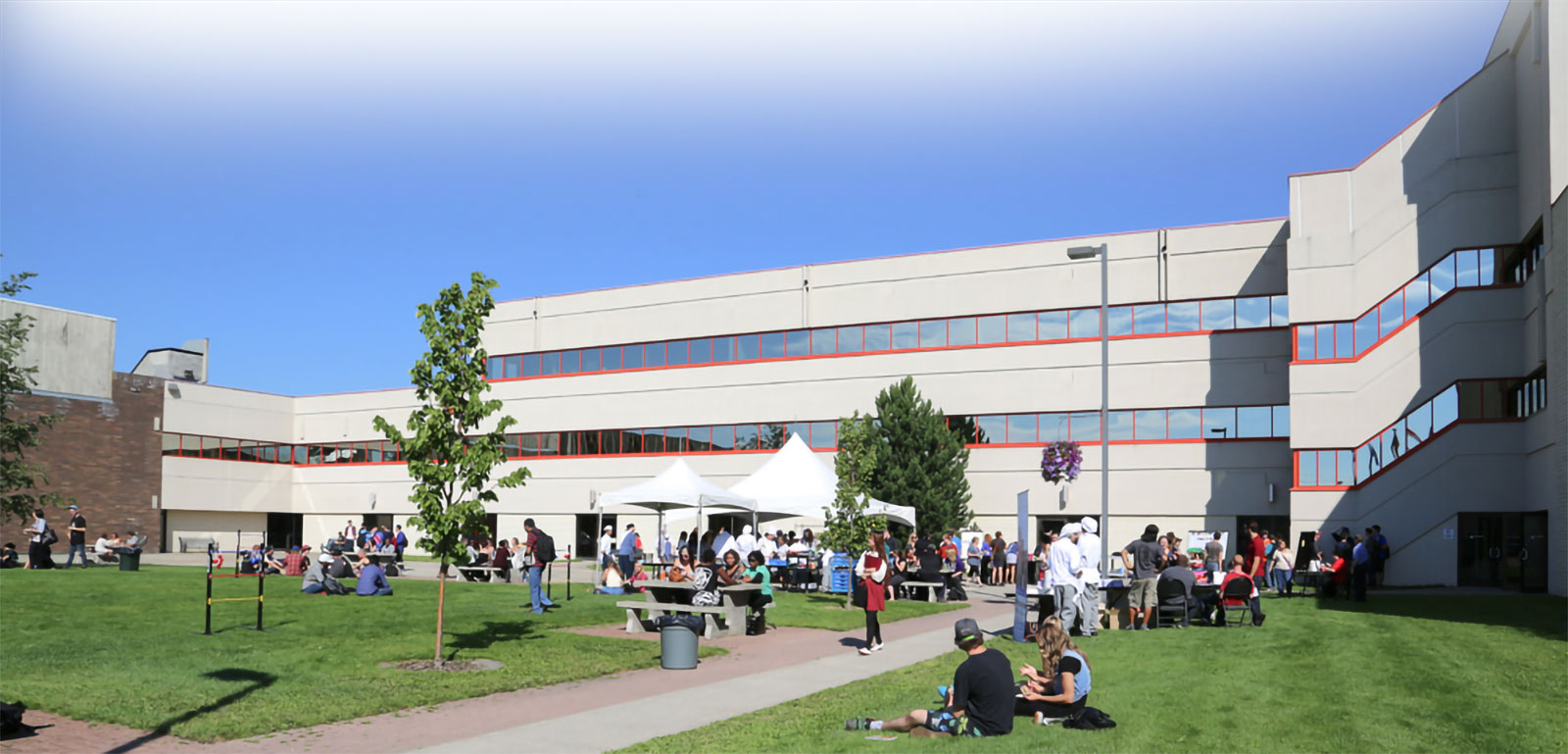 Cao đẳng COLLEGE OF NEW CALEDONIA (CNC) - E2E GLOBAL